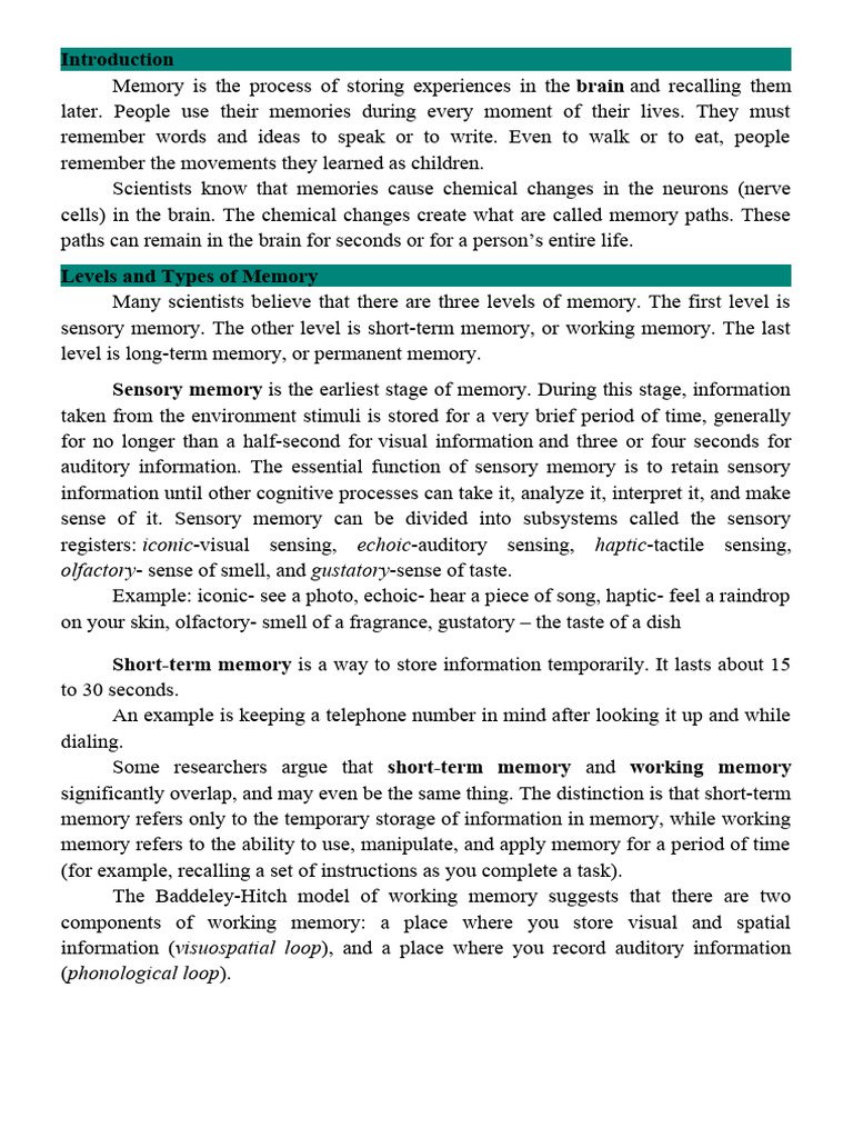 Memory | PDF | Memory | Senses