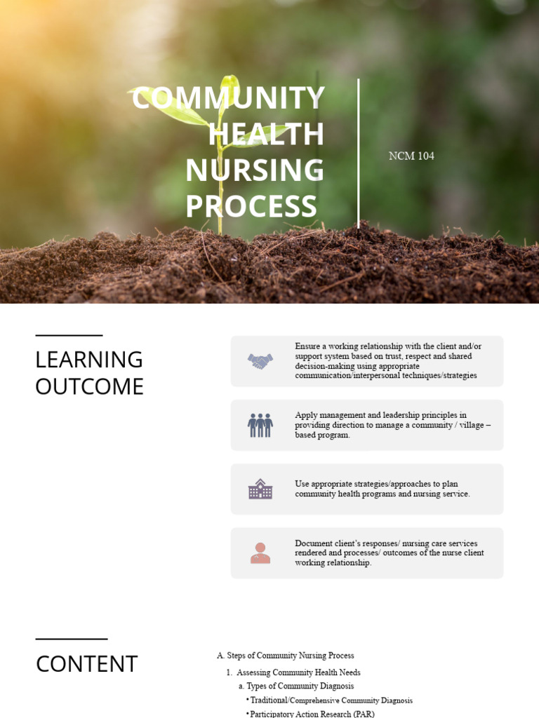 Community Health Nursing Process Short Version 1 | PDF | Community ...
