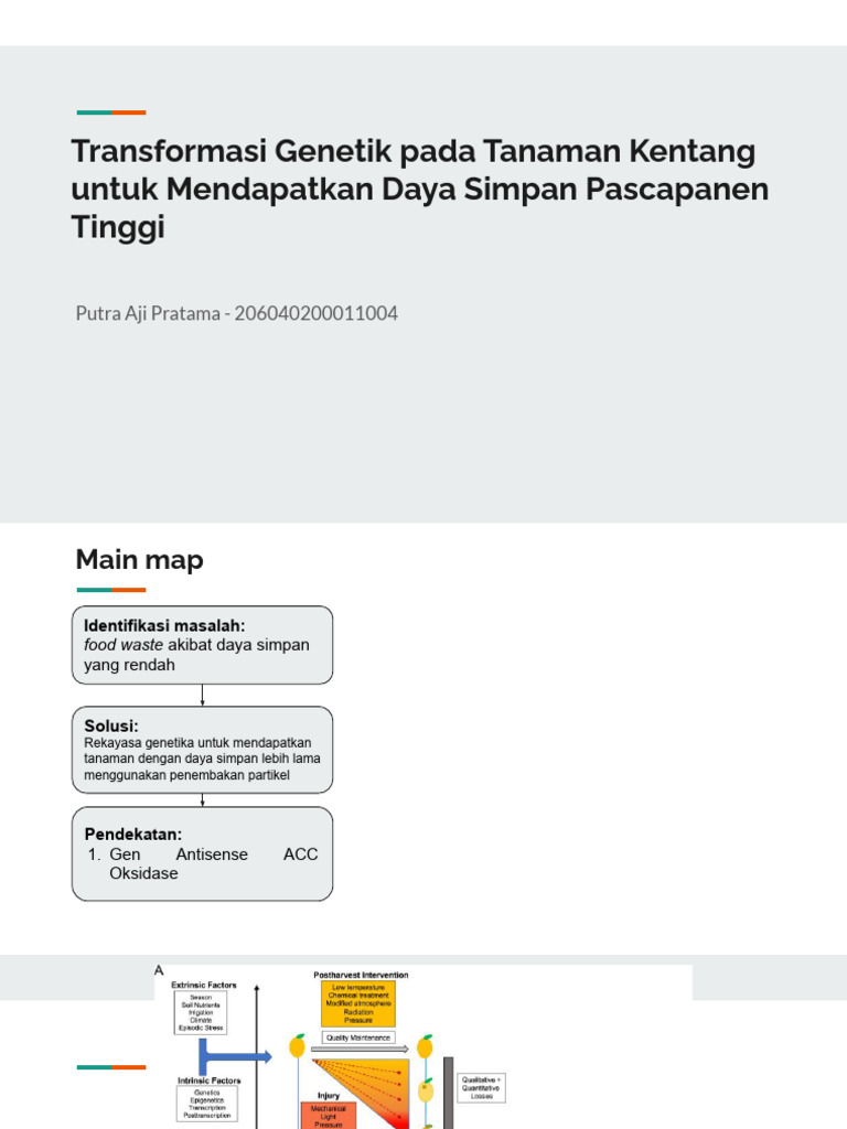 Transformasi Genetik Pada Tanaman Kentang Untuk Mendapatkan Daya Simpan ...