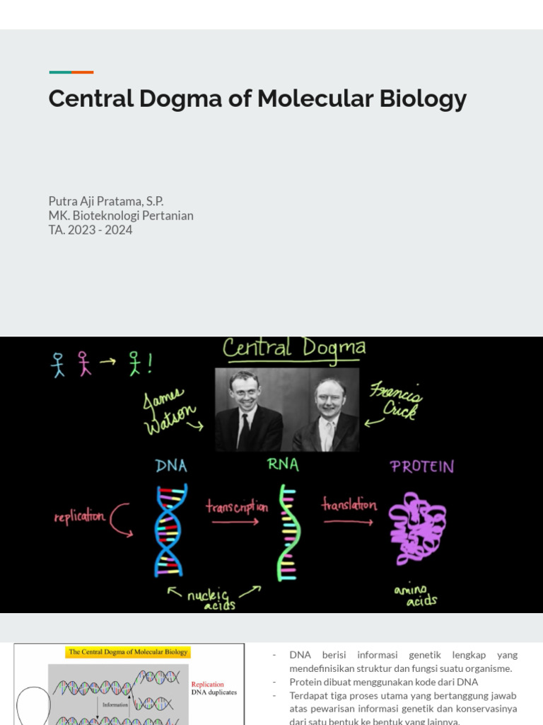 Central Dogma of Molecular Biology | PDF