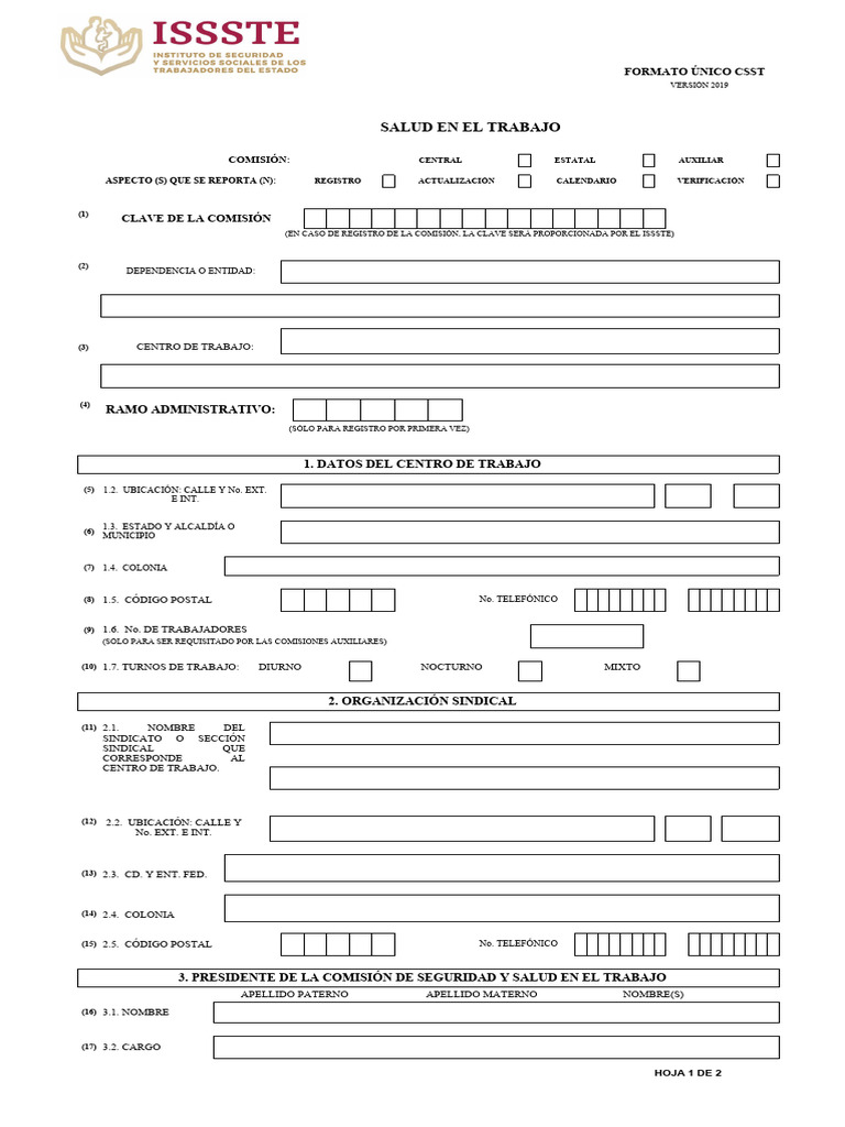 Formato Unico Version 2019 CSST | PDF