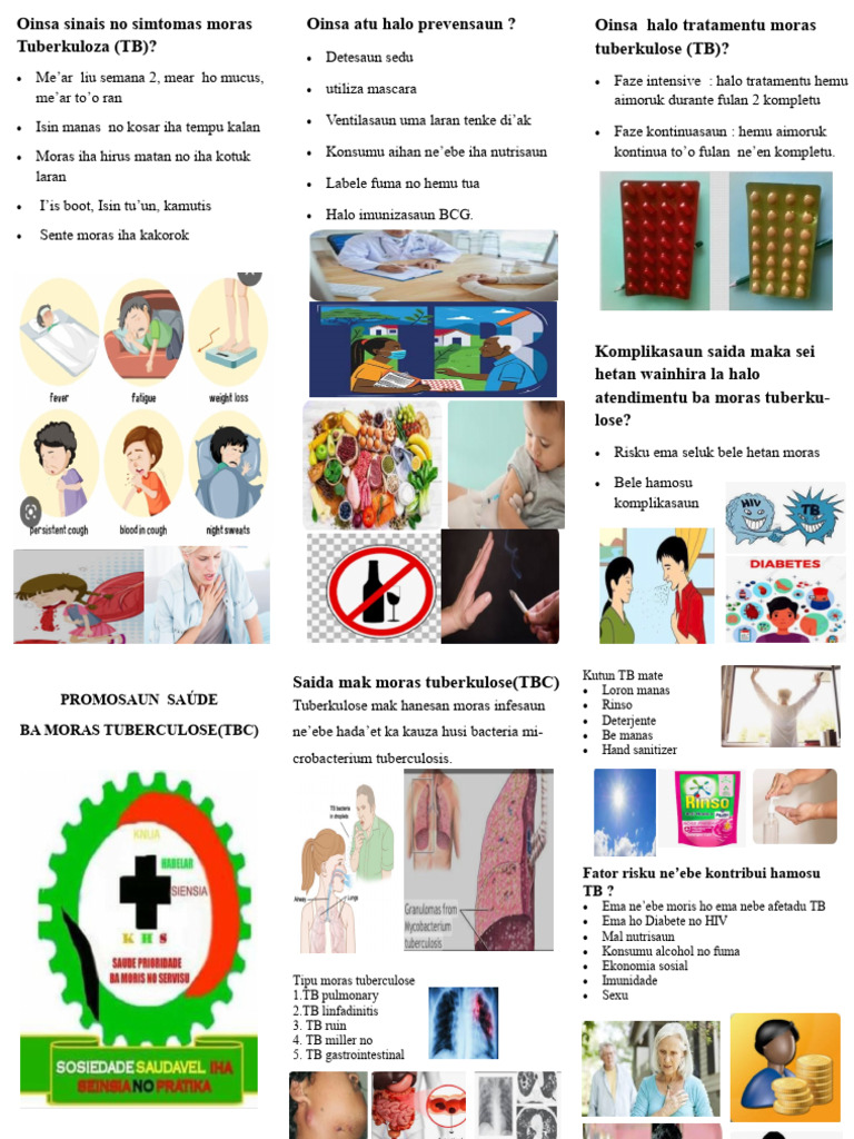 Leaflet Tuberculosis | PDF