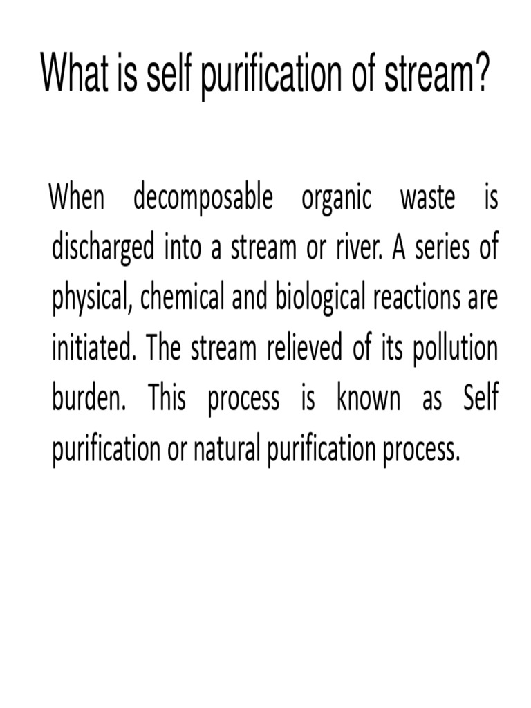 Stream Self-Purification Guide | PDF | Water Purification | Sewage