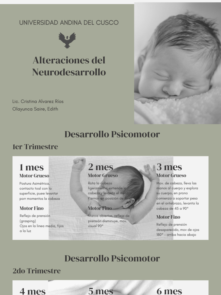 Desarrollo Psicomotor | PDF | Anatomía