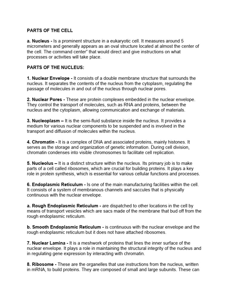Major-Parts-Of-The-Cell - Reviewer | PDF | Cell Nucleus | Cell (Biology)