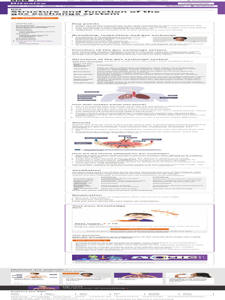 Structure and Function of The Gas Exchange System - Respiration and Gas ...