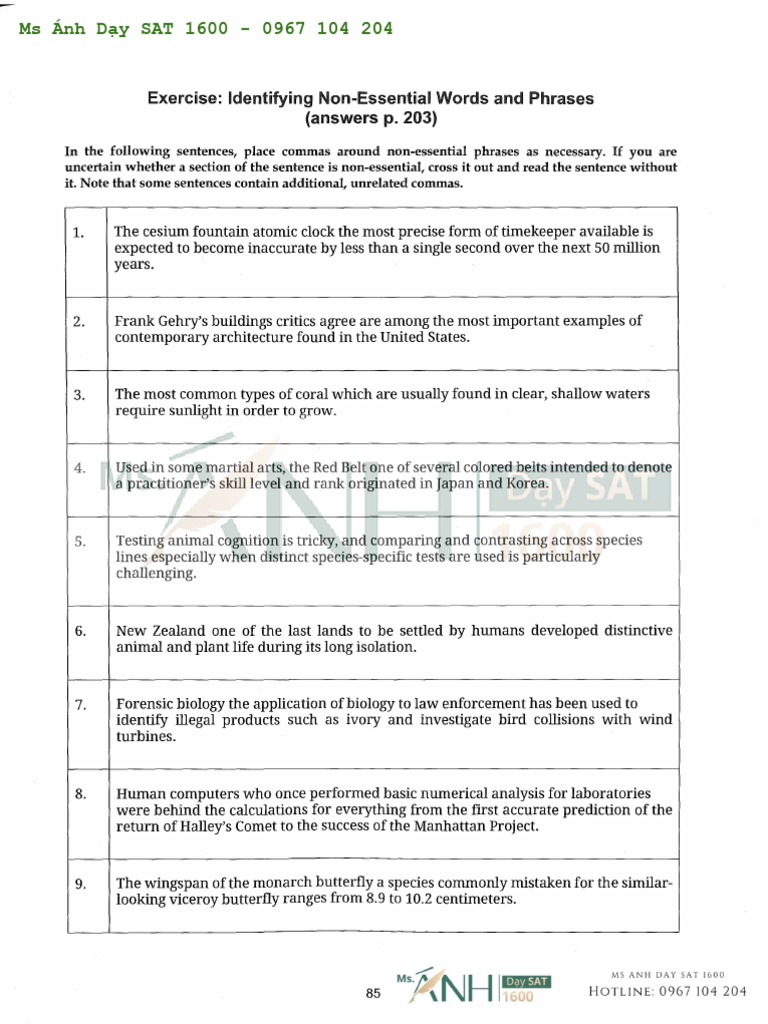 Non-Essential Clauses Ex | PDF