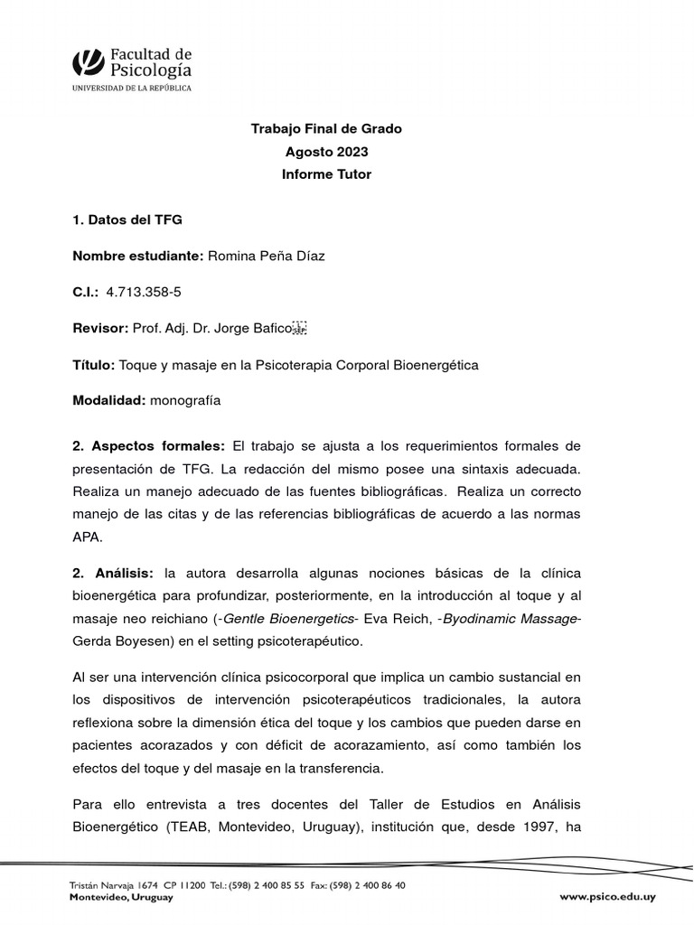 Romina Peña - Informe Tutor | PDF