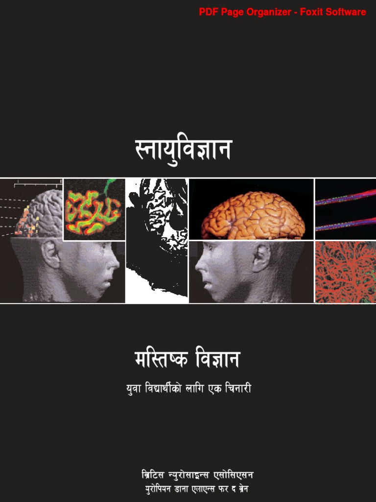 Neuroscience: Science of The Brain in Nepali | PDF | Dendrite | Neuron