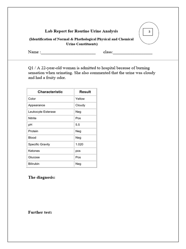 Urine Analysis Lab Report Summary | PDF