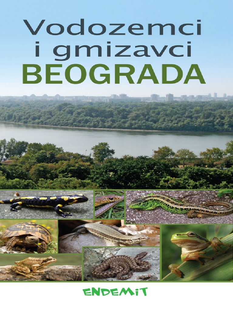 Vodic Vodozemci Gmizavci BG | PDF