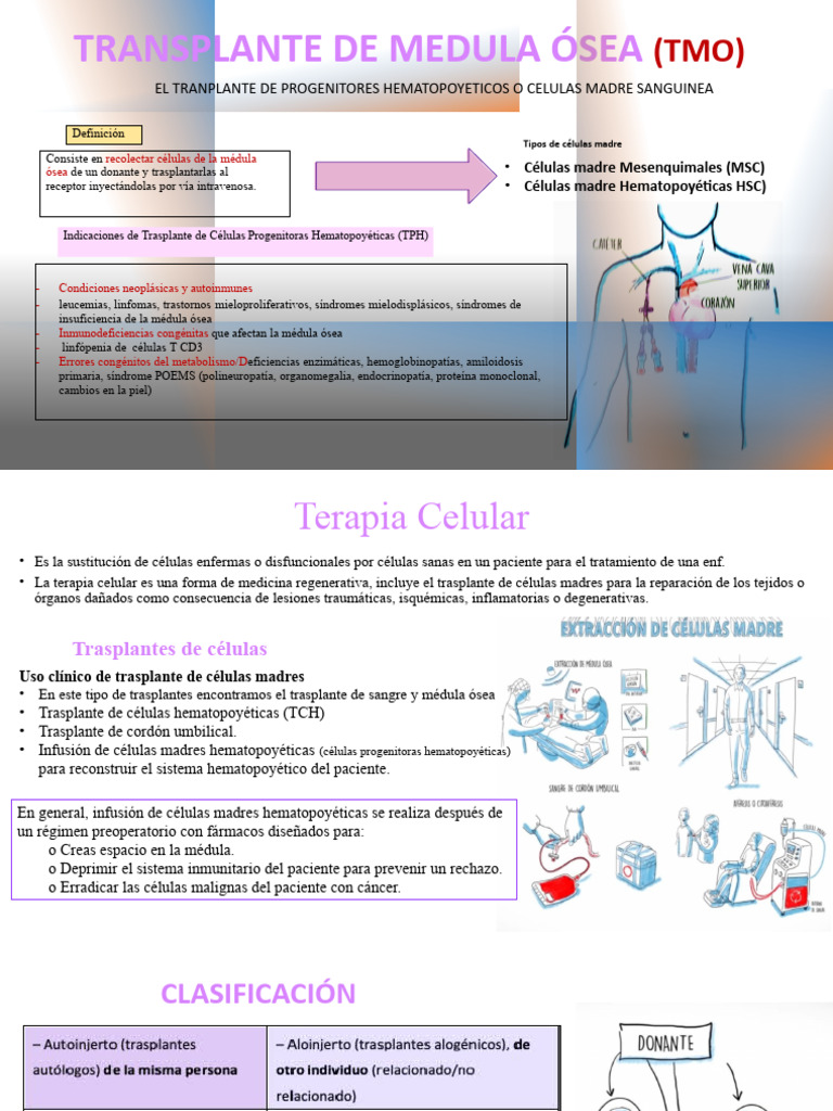 Transplante de Medula Osea | PDF | Transplante de organo | Trasplante ...