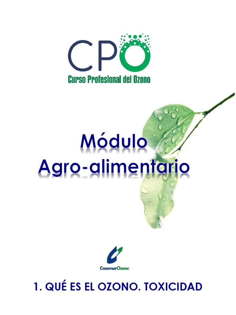 Qué Es El Ozono. Toxicidad | PDF | Ozono | Contaminación