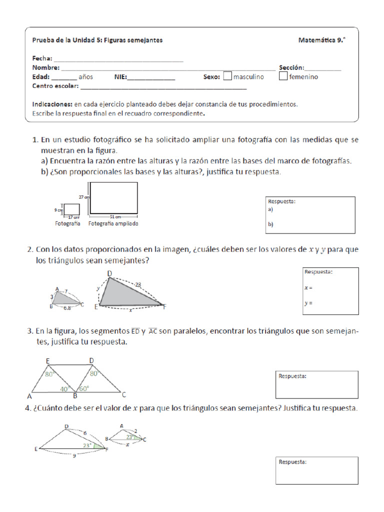 Evaluacion 9no | PDF