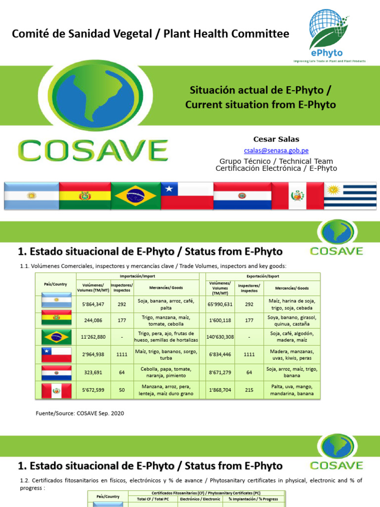 COSAVE - Certificación Electrónica 16102020 | PDF