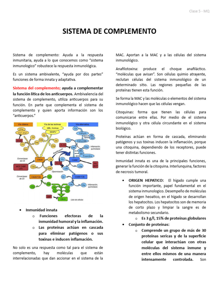 Funciones del Sistema del Complemento | PDF | Sistema complementario | Sistema inmune