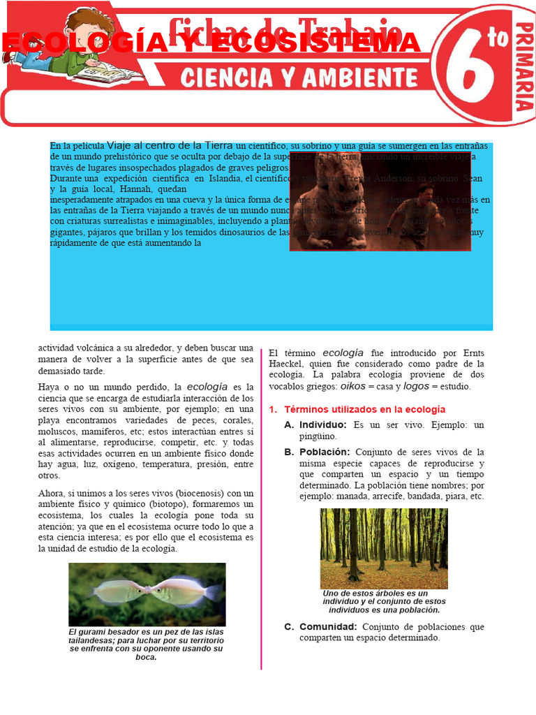 Ecología y Ecosistema para Sexto Grado de Primaria | PDF