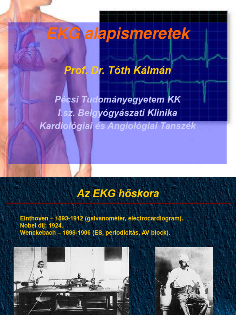 EKG Alapismeretek - Prof. Dr. Tóth Kálmán | PDF
