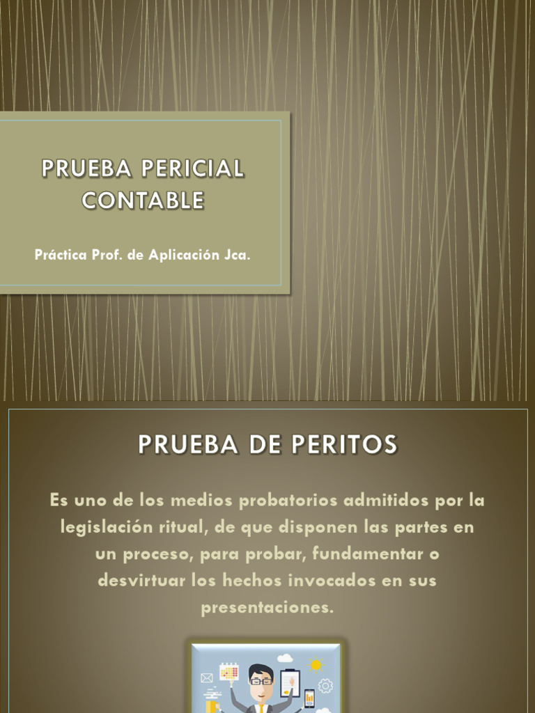 Prueba Pericial Contable: Proceso y Requisitos | PDF | Testigo experto ...