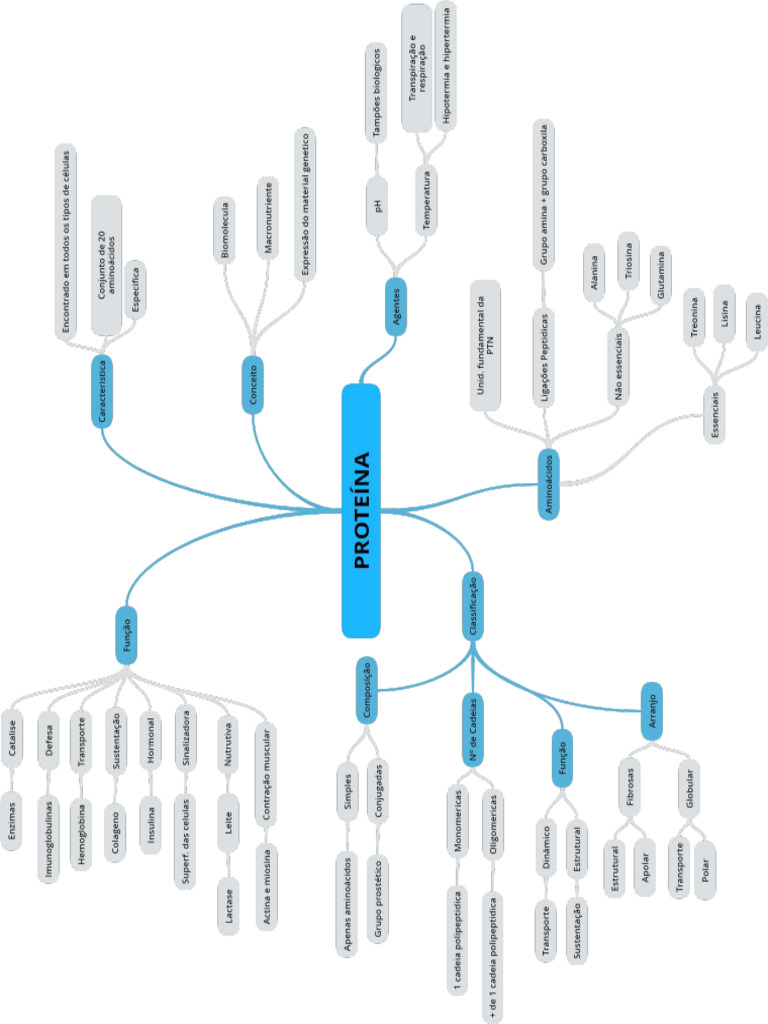 Proteina Mapa Mental Tema Livre | PDF