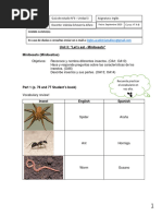 Vocabulario de 100 insectos en inglés y español | PDF