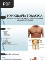 14.-Anatomía de Superficie Del Tórax - Líneas Del Tórax | PDF