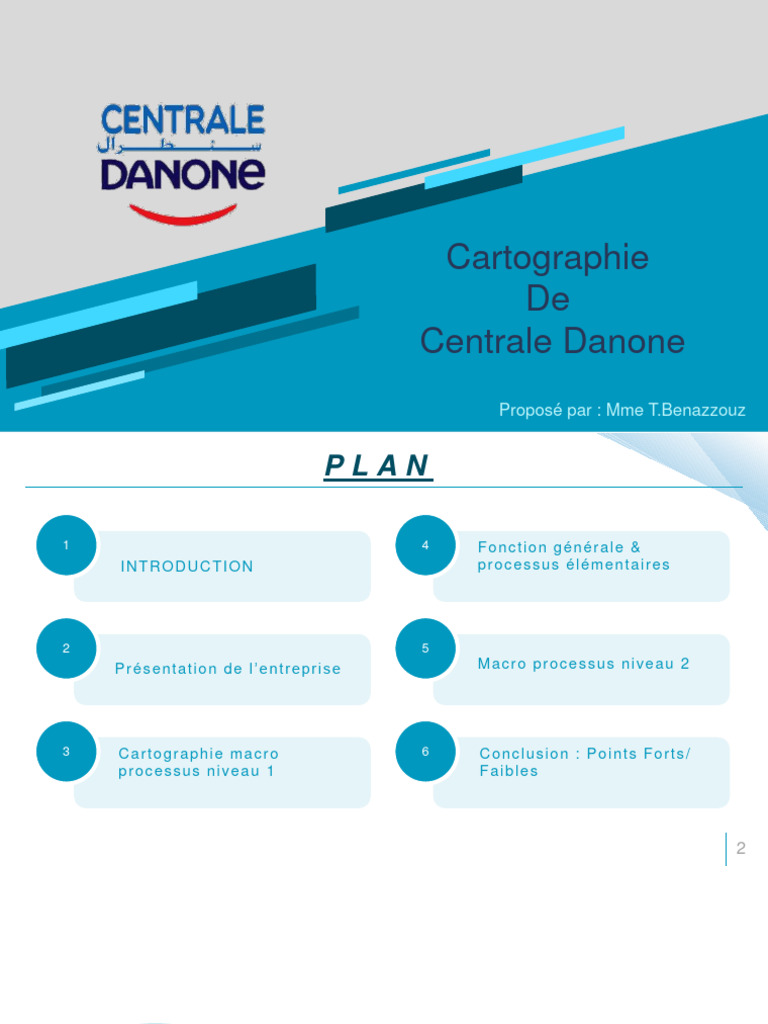 Cartographie Danone | PDF