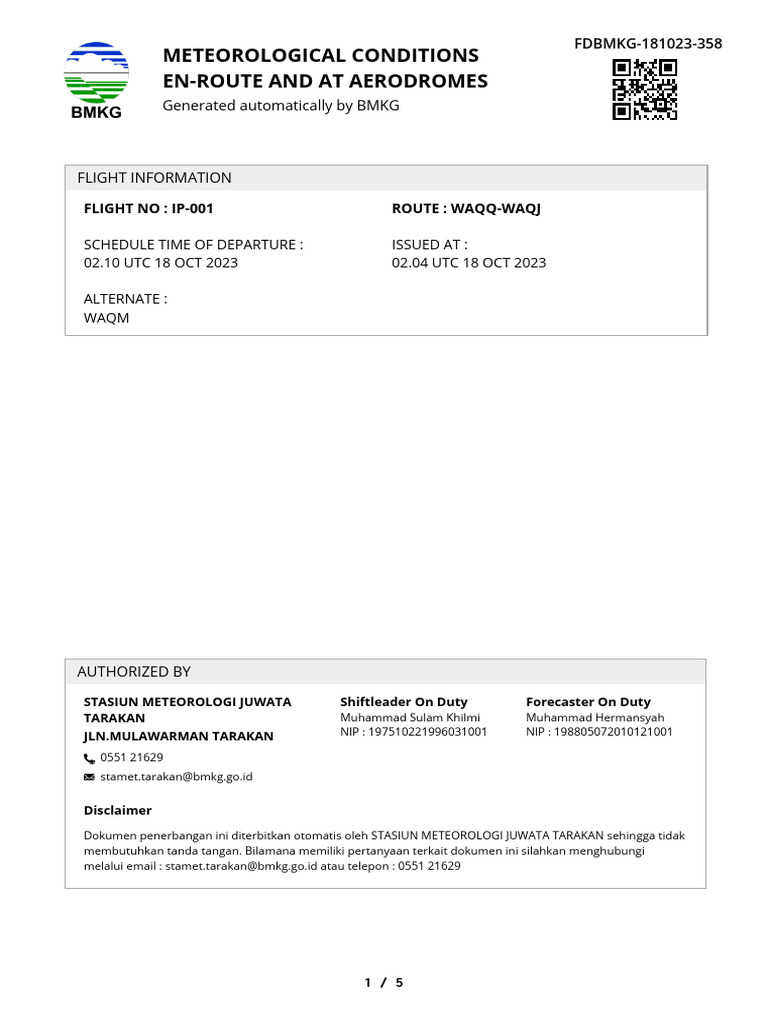 Flight Document IP001 | PDF