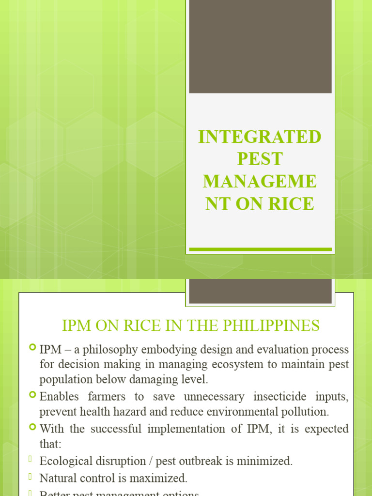 Ipm in Rice | Download Free PDF | Rice | Agriculture