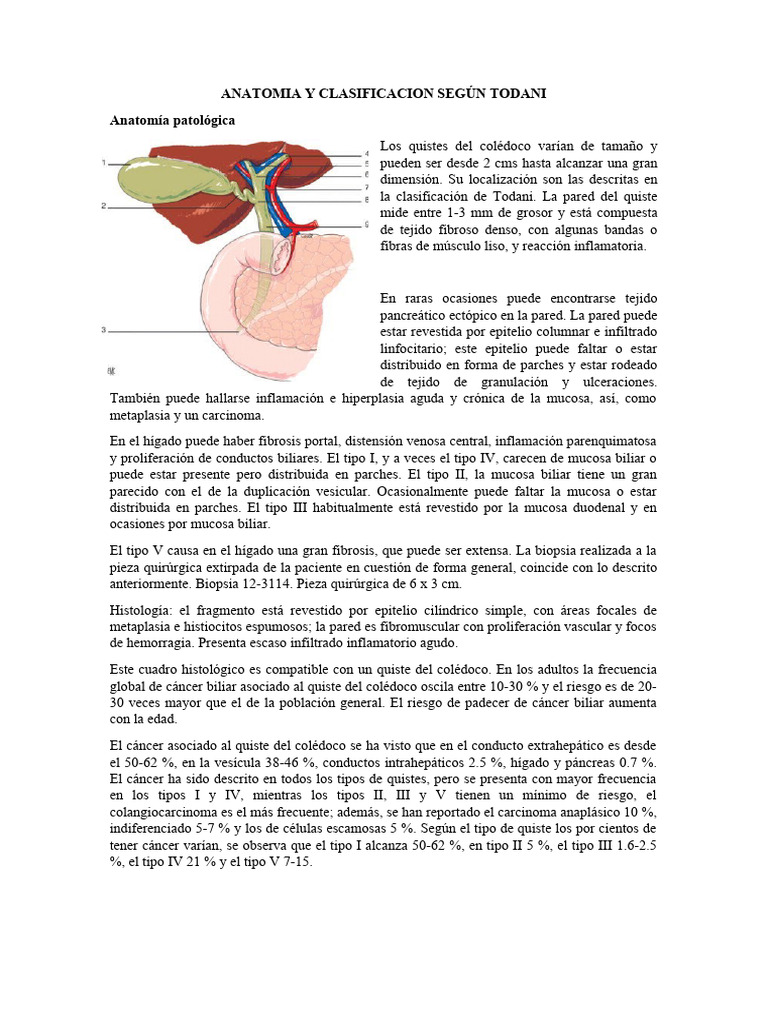 Anatomia y Clasificacion Según Todani | PDF