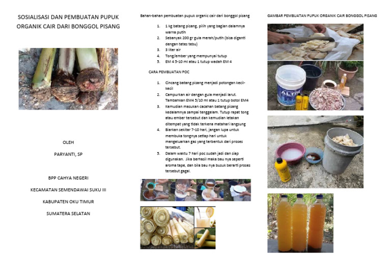 Leaflet Poc Bonggol Pisang | PDF