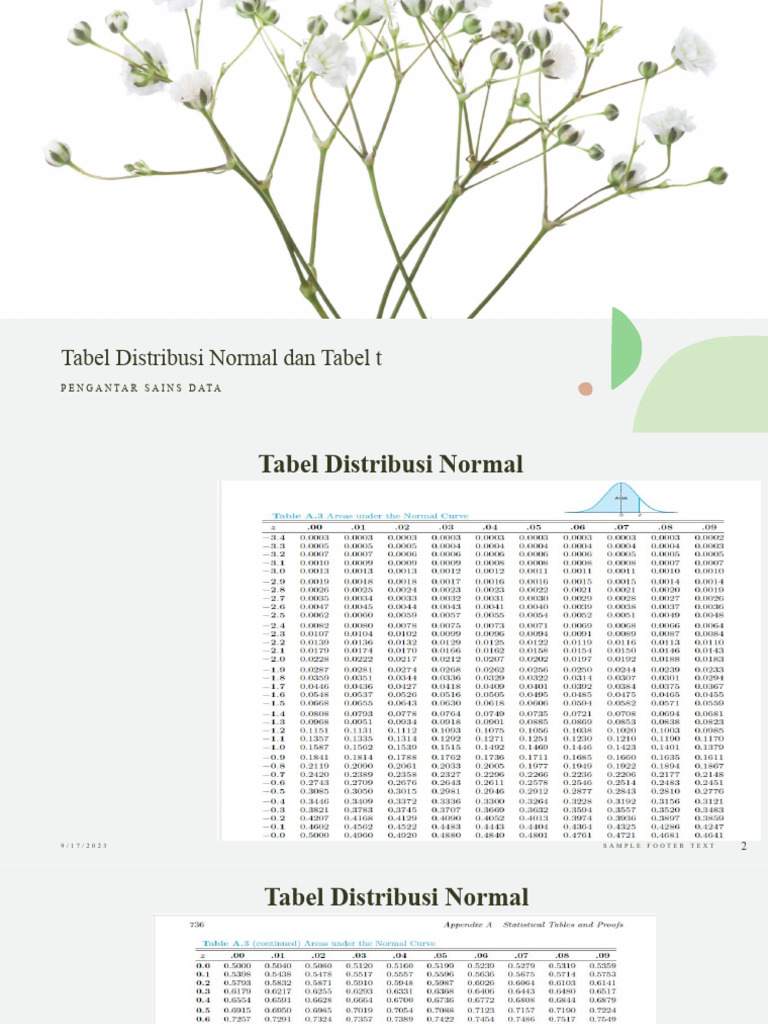 Tabel Distribusi Normal & t | PDF | Foreign Language Studies
