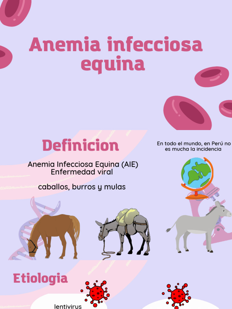 Anemia Infecciosa equina | PDF | Virus | Infección