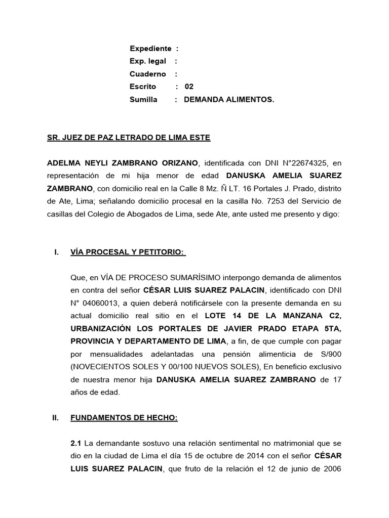 Demanda de Alimentos | PDF | Demanda judicial | Gobierno y personalidad