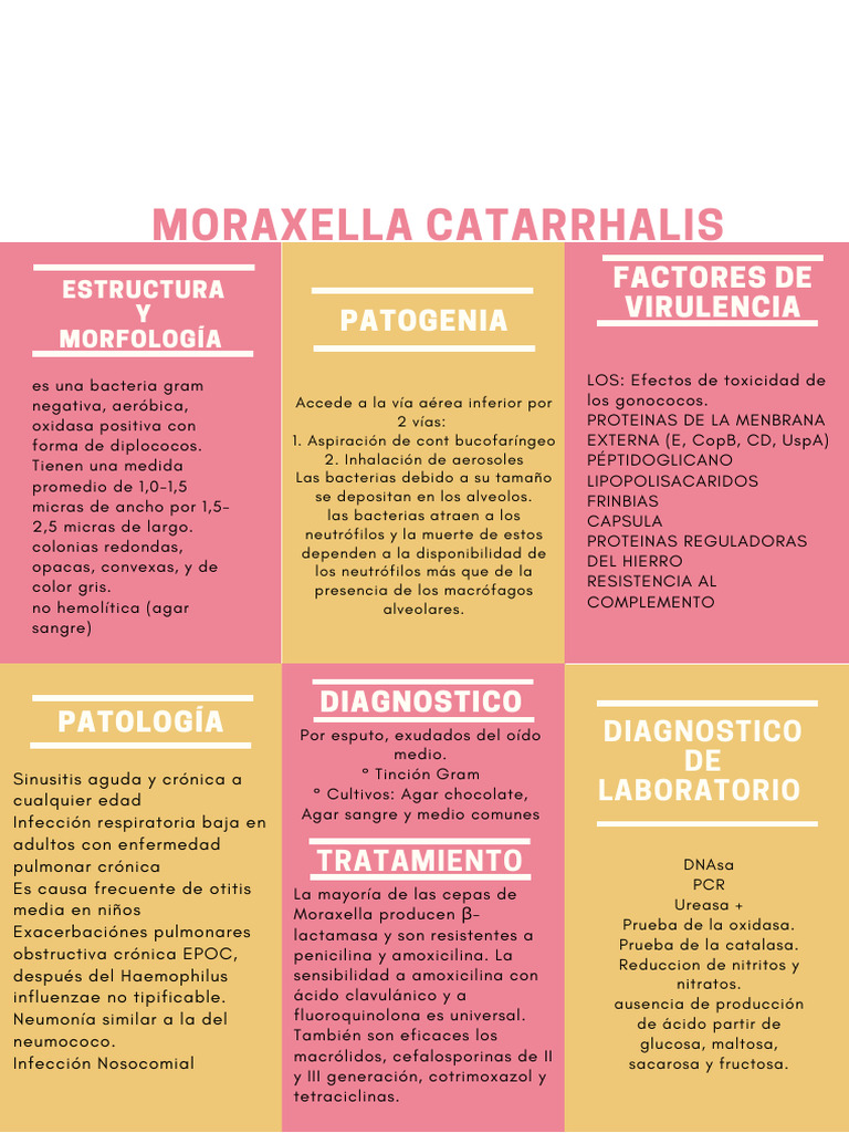 Moraxella | PDF | Especialidades Medicas | Medicina CLINICA