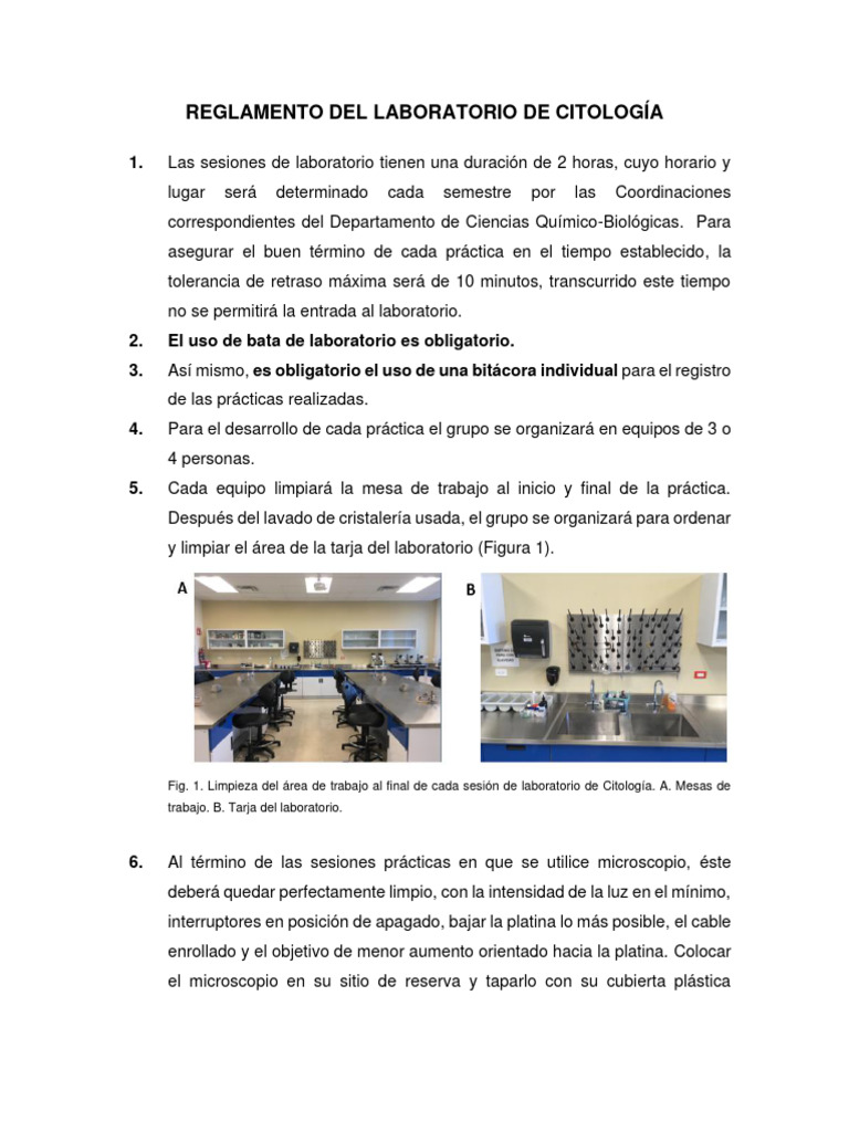 Reglamento Del Laboratorio de Citología 2-1 | PDF | Hogar, jardinería y bricolaje | Ciencia y ...