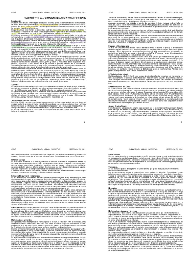 Sem 10 Malformaciones Aparato Genito Urinario Urogenital | PDF | Riñón | Vagina