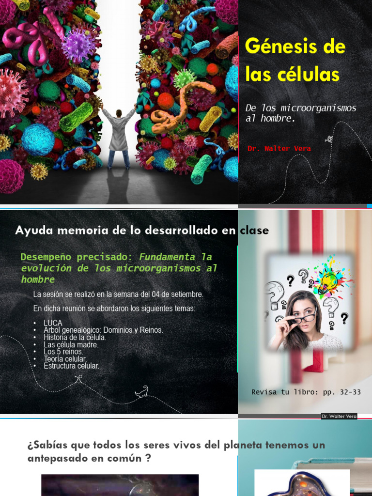 Sem 25 Genesis de Las Celulas | PDF | Biología Celular) | Organismos
