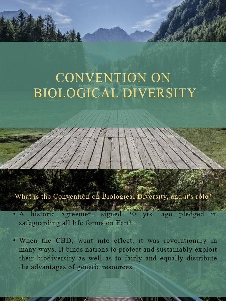 Convention On Biological Diversity | PDF | Conservation Biology ...
