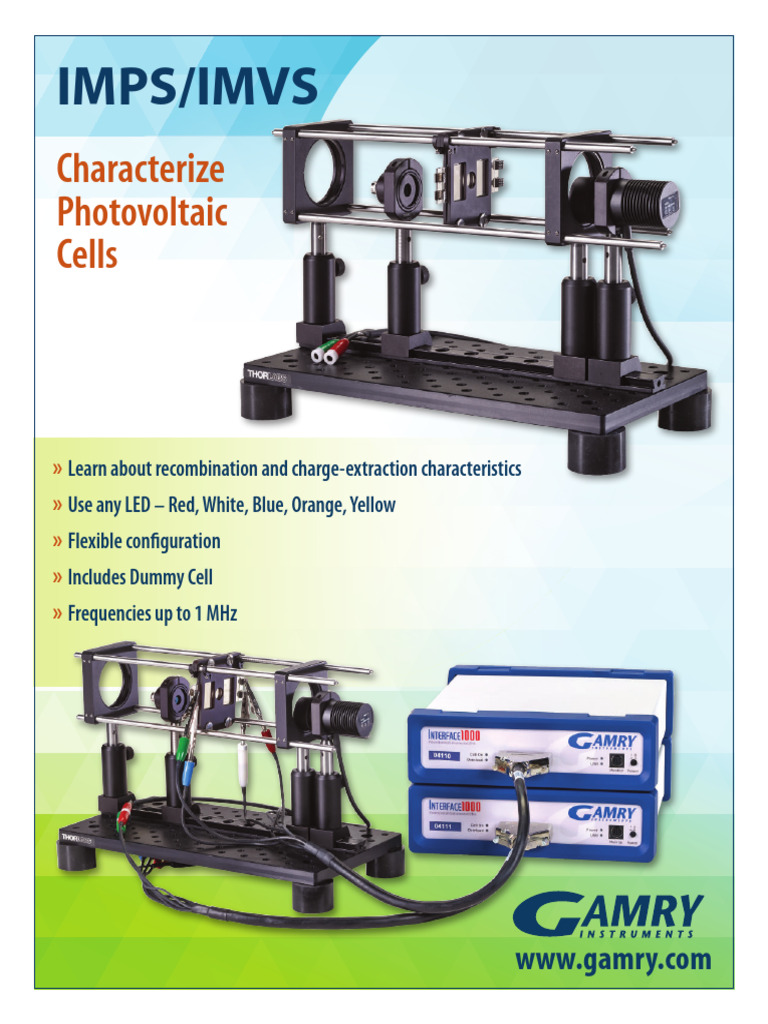 IMPS IMVS Flyer | PDF