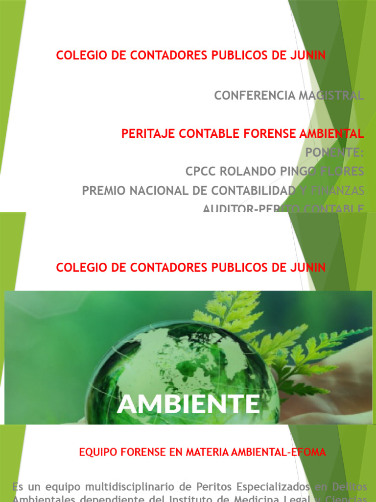 PERITAJE AMBIENTAL | PDF | Contabilidad | Testigo experto
