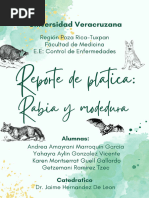 Manual - Rabia en Humano | PDF | Inmunofluorescencia | Rabia