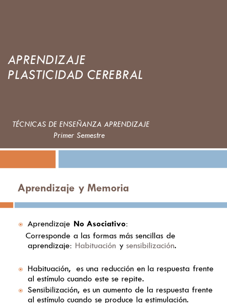 Plasticidad Cerebral | PDF | Ciencia y matemáticas