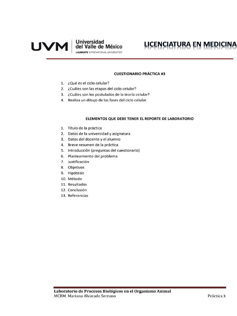Cuestionario Práctica 3 - 230914 - 065433 | PDF