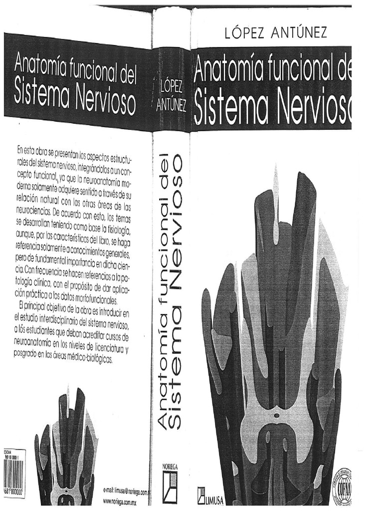 Anatomia Funcional Del Sistema Nervioso Luis Lopez Antunez | PDF