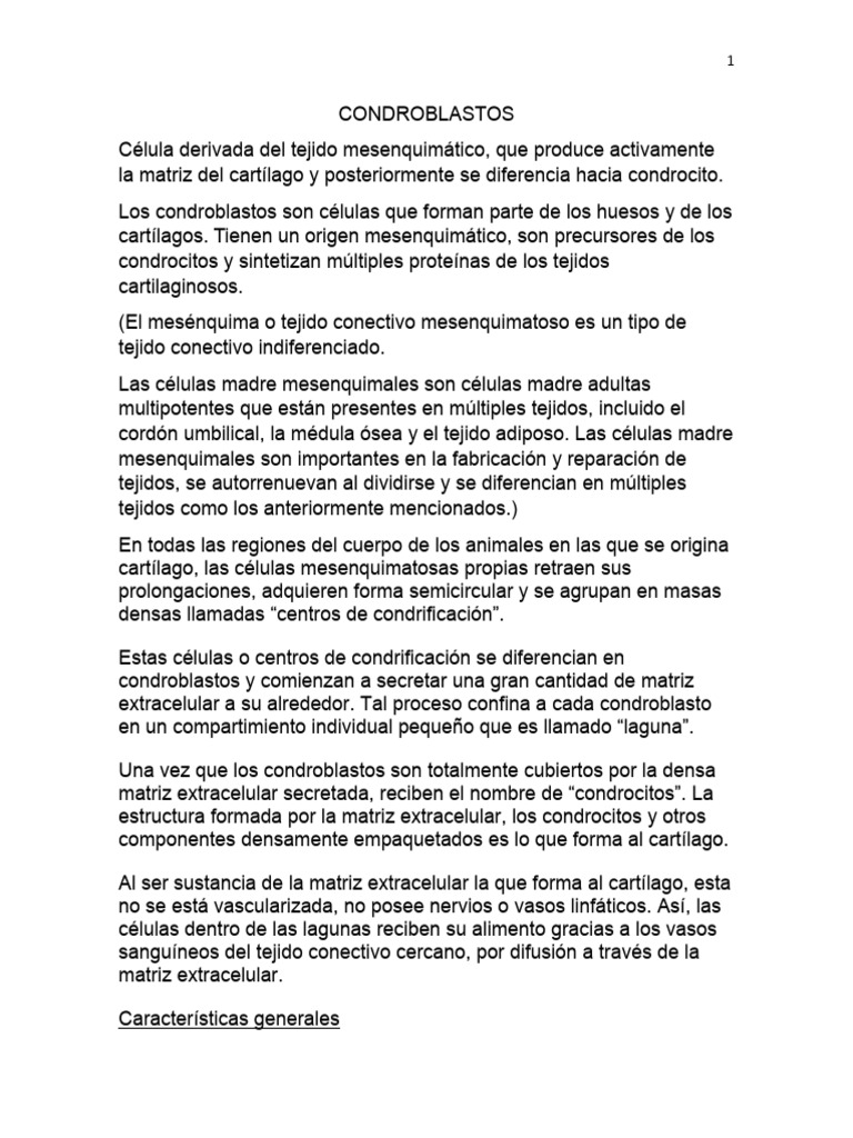 CONDROBLASTOS, CONDROCITOS Y CARTÍLAGOS | PDF | Cartílago | Articulación