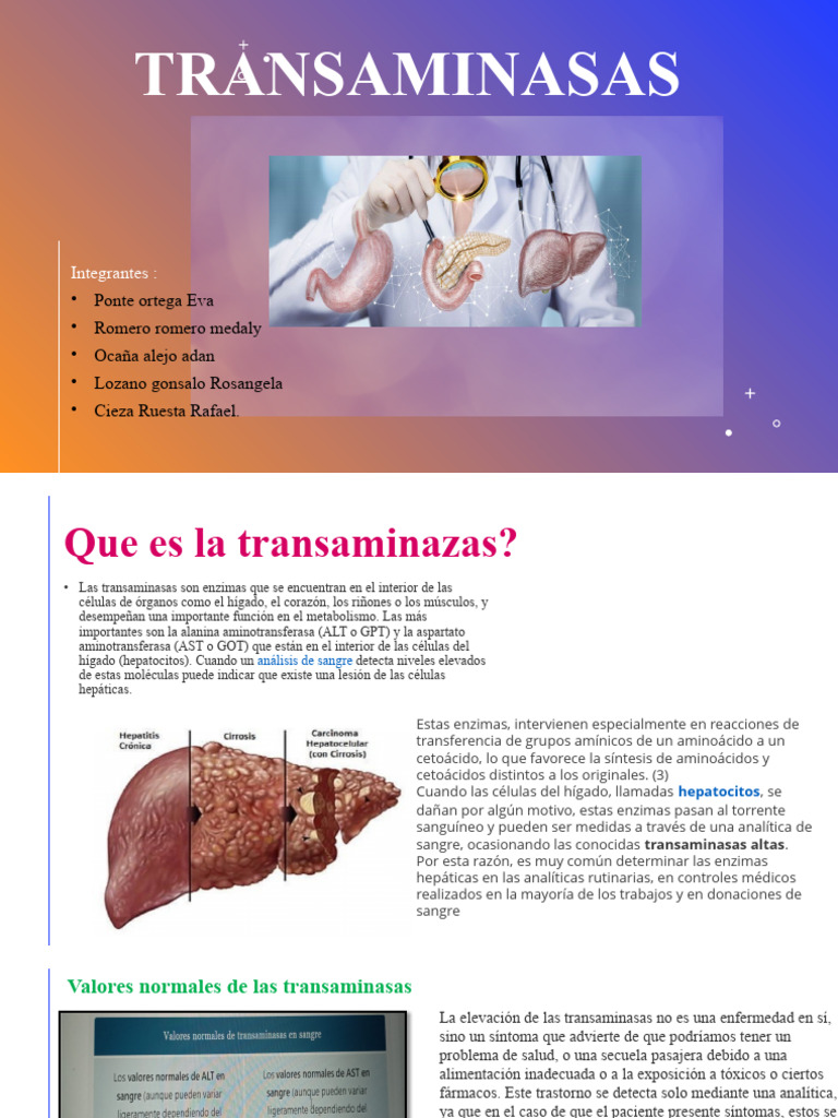 Transaminasas | PDF | Transaminasa | Alanina transaminasa