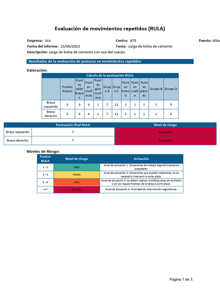 Informe Rula | PDF | Hombro