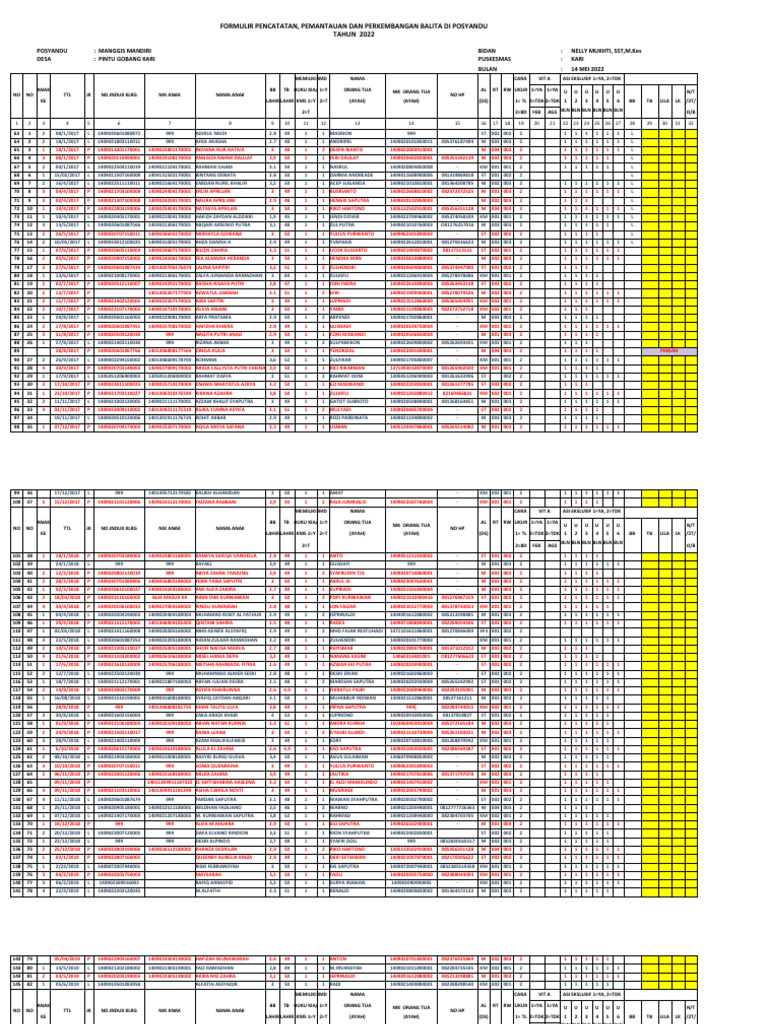 Lap Bulanan Gizi 2022 | PDF
