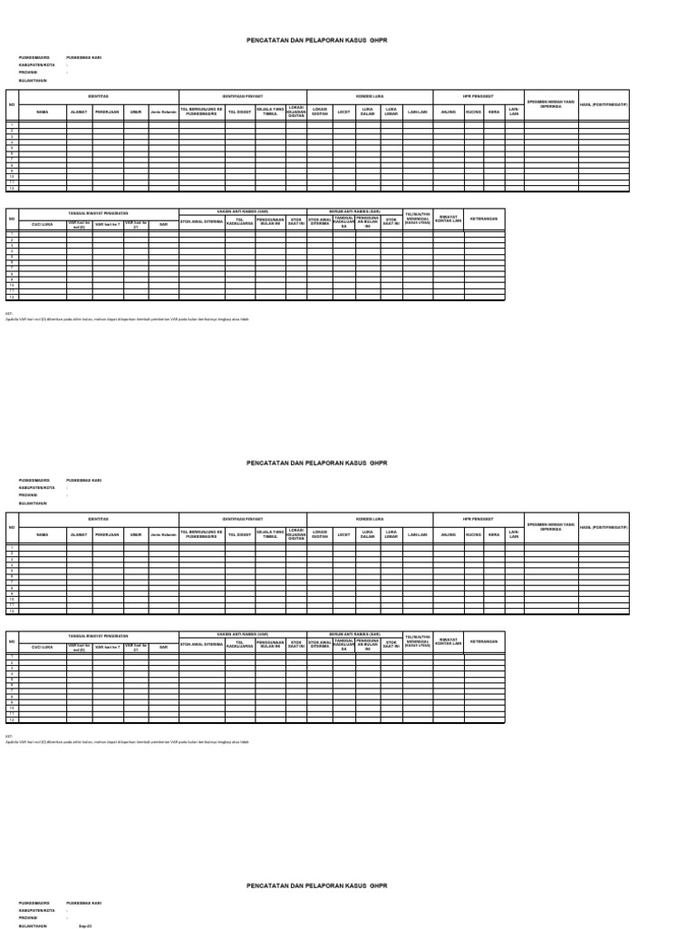 Form Pelaporan GHPR Puskesmas Dan Rsud | PDF
